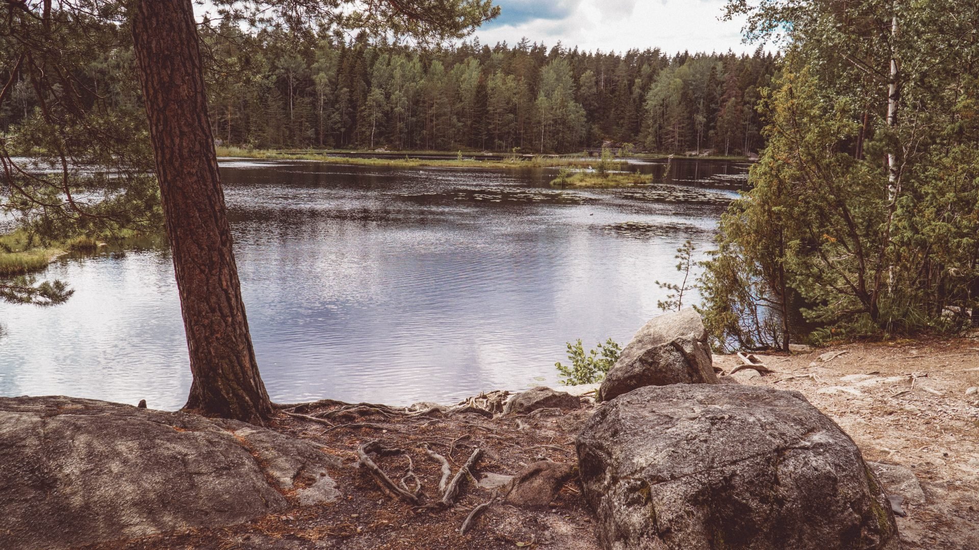 Nuuksion kansallispuisto oli iso pettymys - Reissukuume